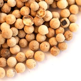 White Peppercorns | Bulk White Pepper Buy Online | Spice Jungle