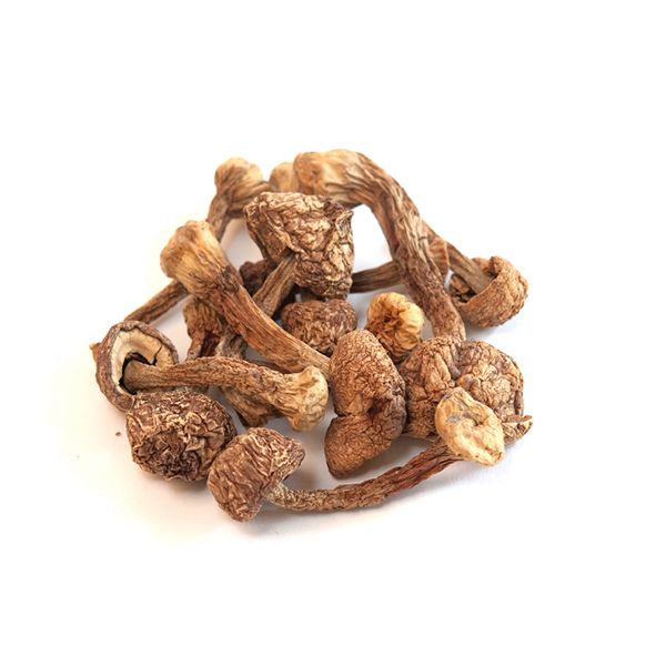 Dried Blazei Brazilian Cap Mushrooms (Whole)