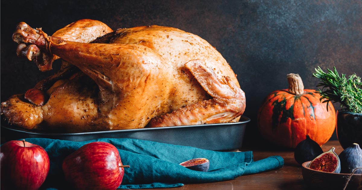 Top Turkey Recipes | Spice Jungle